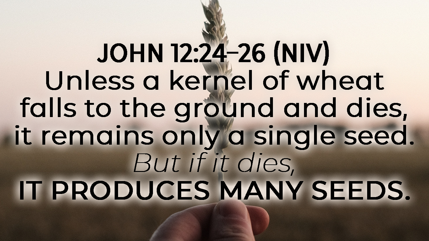 Unless A Seed Dies Handout Goshen Church Goshen Church